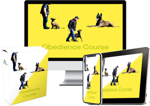 Obedience Course
